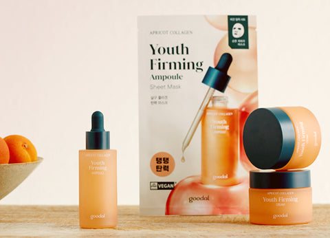 CLIO - Foundation